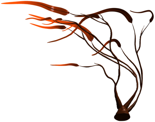 Archivo de las Algas